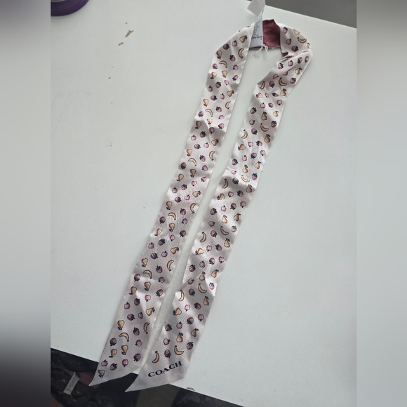 Coach | Accessories | Coach Skinny Scarf | Poshmark